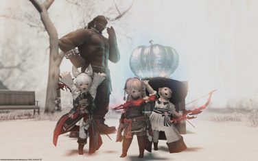 【FF14】DD 死者の宮殿攻略 B200踏破のコツ | のんびりからあげブログ